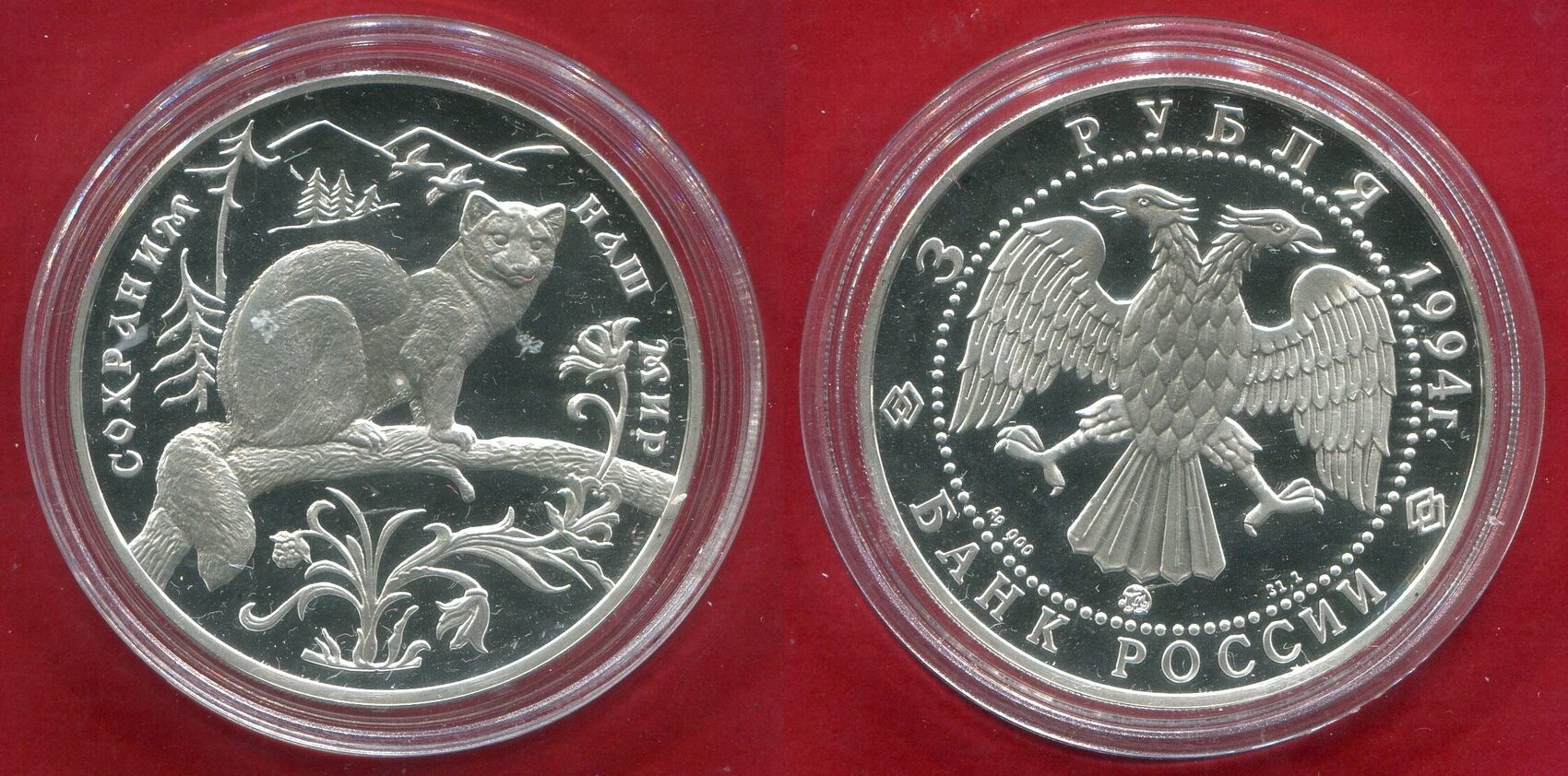Russland Russia Rußland 3 Rubel Silber 1 Unze Fein 1994 Protect Our ...