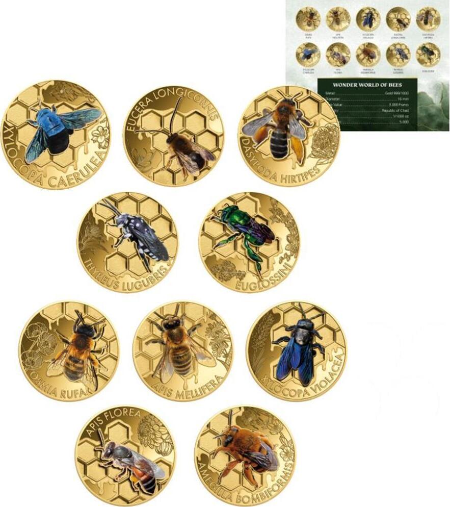 BEES Wonder World Set 10 Gold Coins 3000 Francs Chad 2024 BU ...