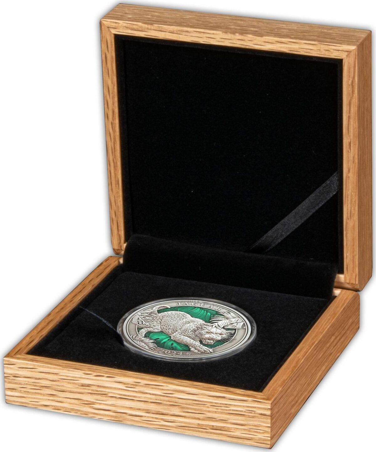 5 Dollars JAGUAR Colours of Wildlife 3 Oz Silver Coin 5$ Barbados 2024 ...