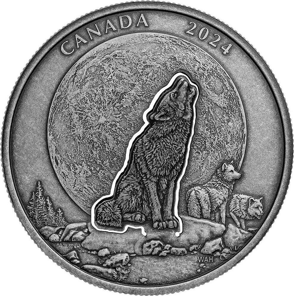30 Dollars HOWLING WOLF Watch Silver Coin 30$ Canada 2024 Antique ...