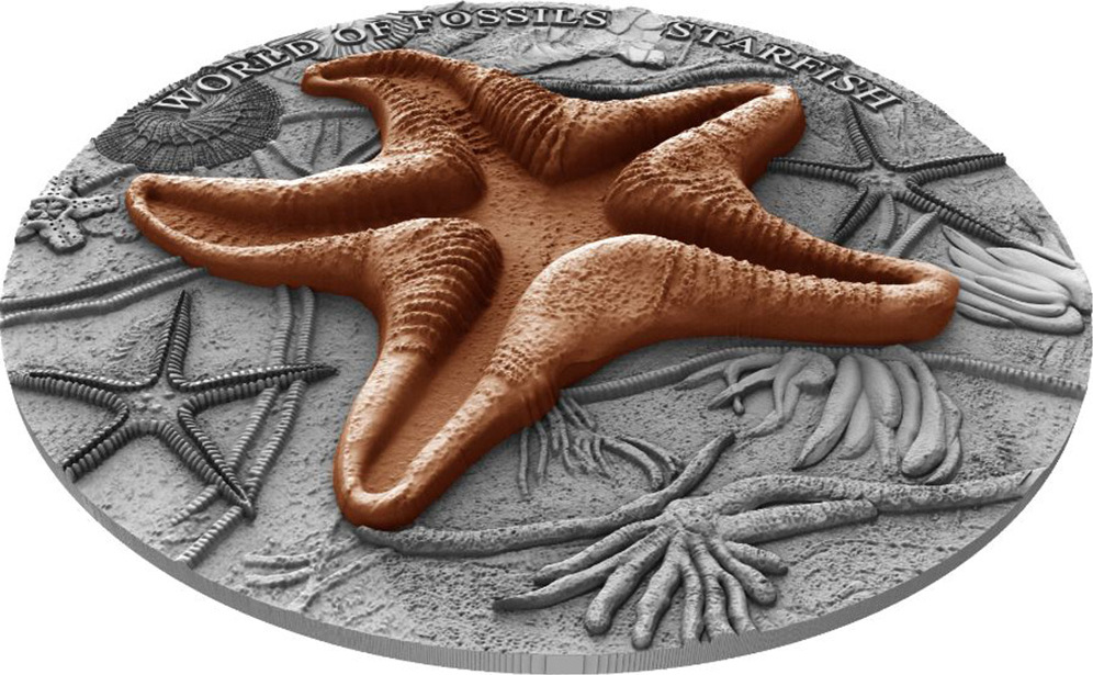 2 Dollars STARFISH World of Fossils 2 Oz Silver Coin 2$ Niue 2019 ...
