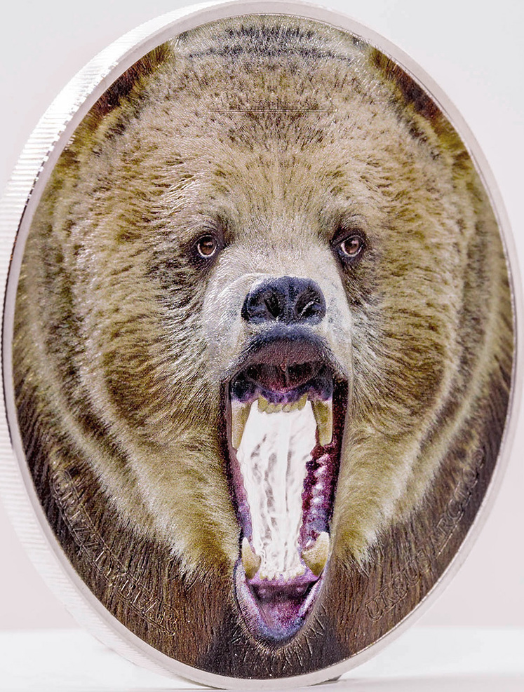 AMERICAN GRIZZLY BEAR Rare Wildlife 2 Oz Silver Coin 1500 Shillings ...