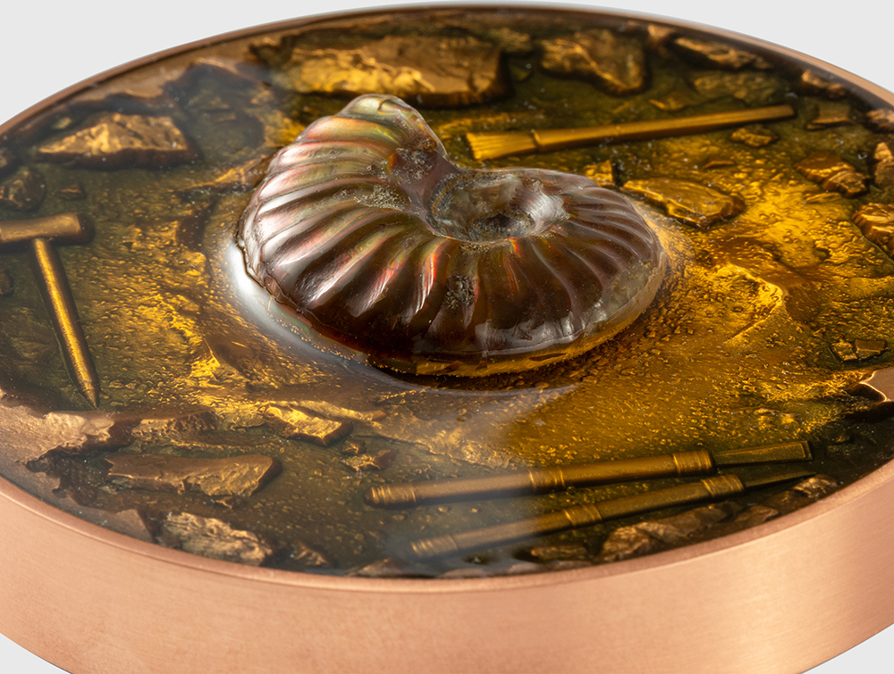 AMMONITE FOSSIL EXCAVATION 1 Oz Silver Coin 5000 Francs Chad 2023 ...