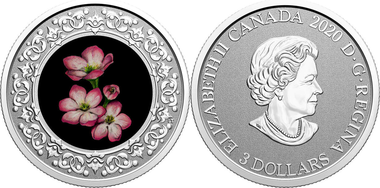 3 Dollars NOVA SCOTIA MAYFLOWER Canada Silver Coin 3$ Canada 2020 Proof ...