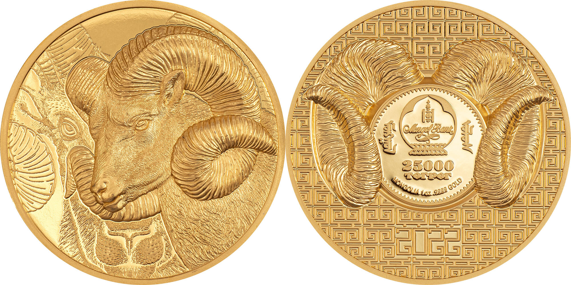 MAGNIFICENT ARGALI Wild Mongolia Ram 1 Oz Gold Coin 25000 Togrog ...