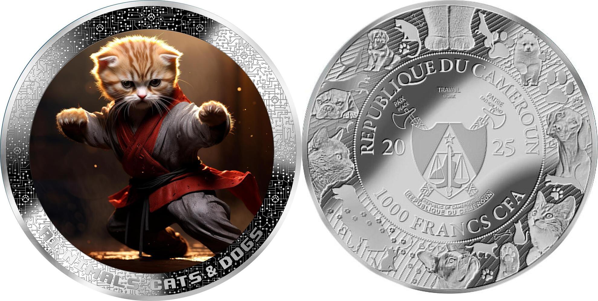 KUNG FU CAT AI-NIMALS 1 Oz Silver Coin 1000 Francs Cameroon 2025 ...