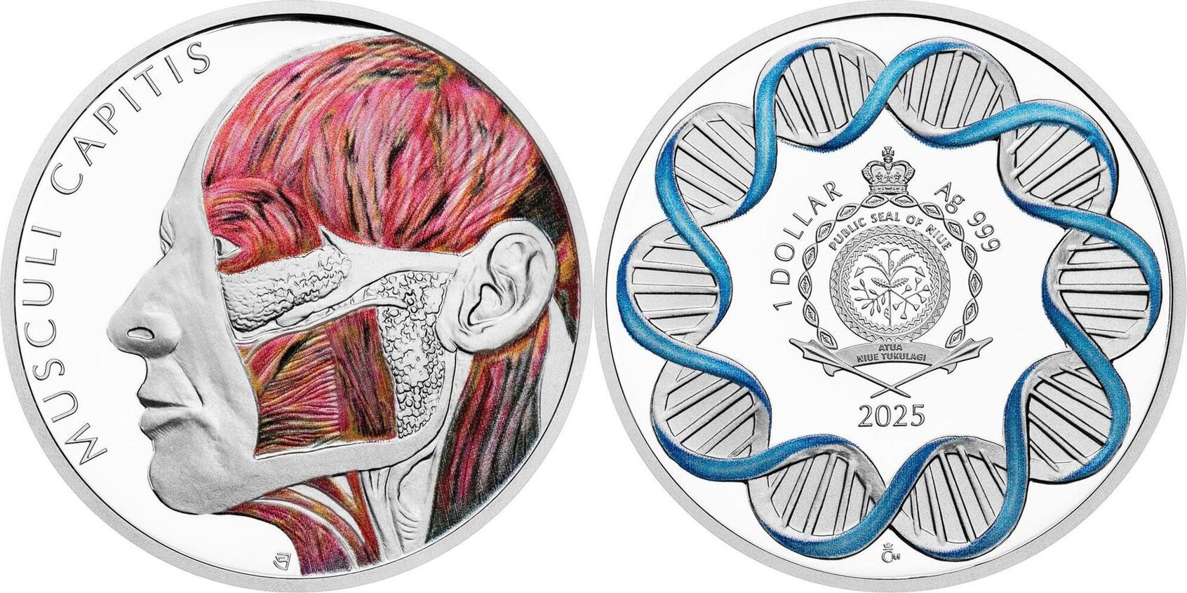 1 Dollar HEAD MUSCLES Human Body 1 Oz Silver Coin 1$ Niue 2025 Proof ...