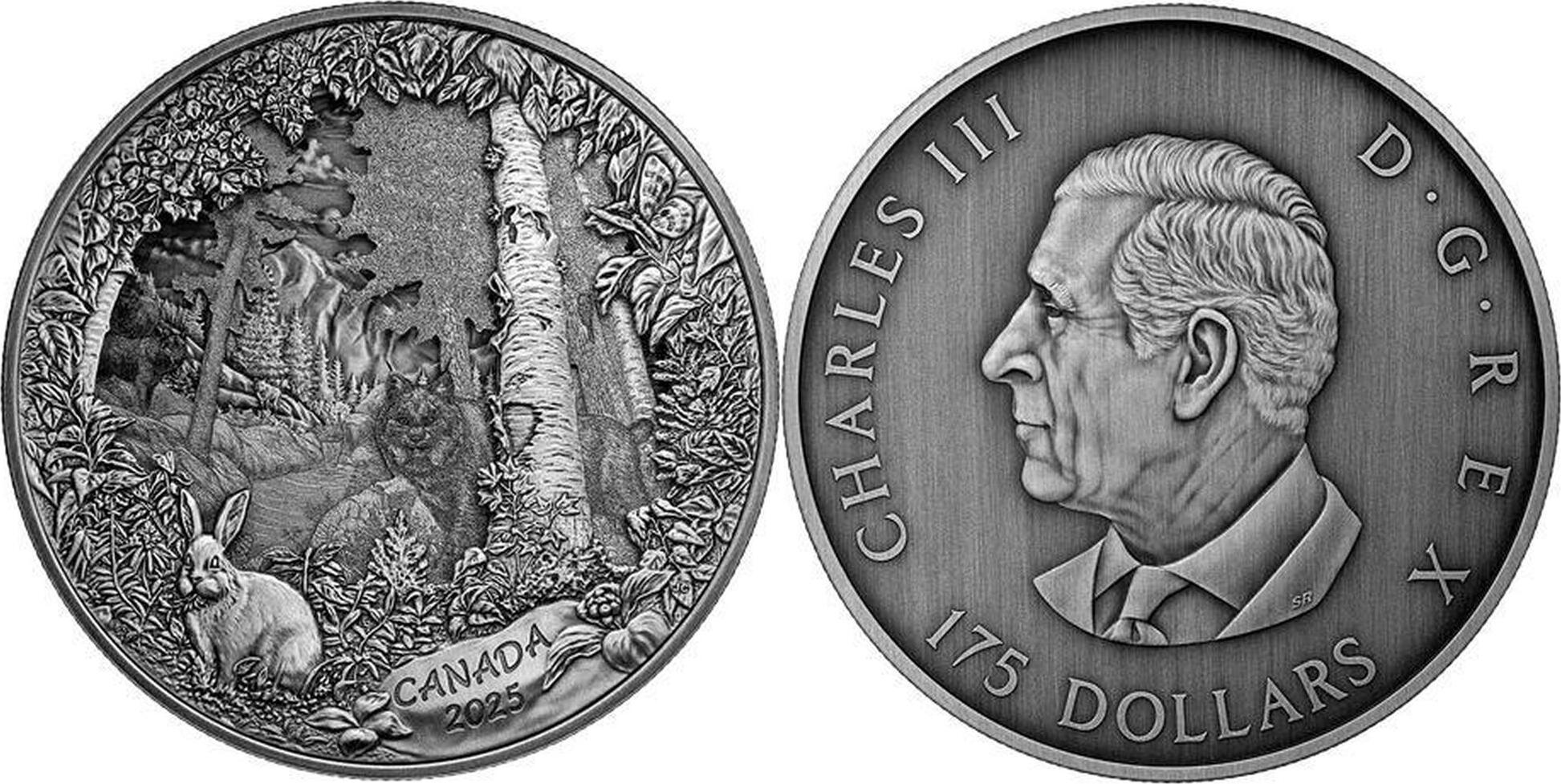 175 Dollars PREDATOR OR PREY IN SHADOW BOX Silver Coin 175$ Canada 2025 ...