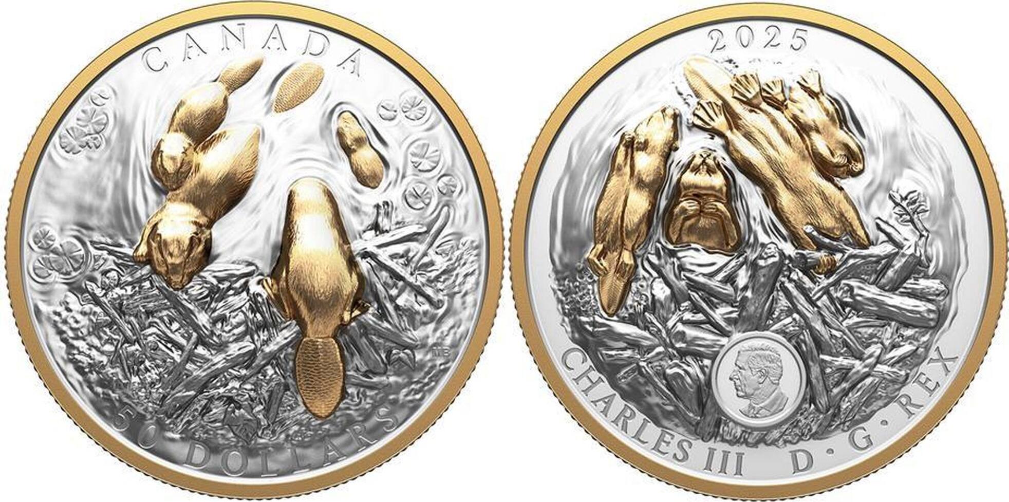 50 Dollars BEAVER Canadian Symbol Silver Coin 50$ Canada 2025 Proof ...