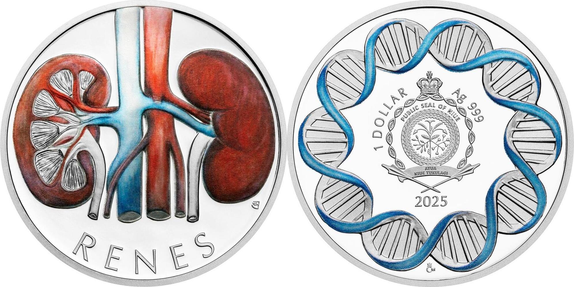 1 Dollar KIDNEYS Human Body 1 Oz Silver Coin 1$ Niue 2025 Proof | MA-Shops