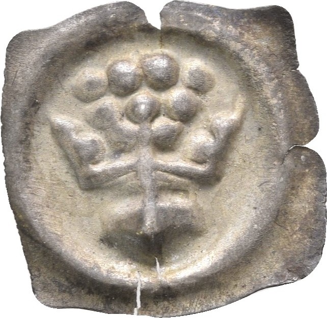 Aargau Zofingen: Vierzipfliger Angster Herzog Leopold III, 1365-86: VF ...