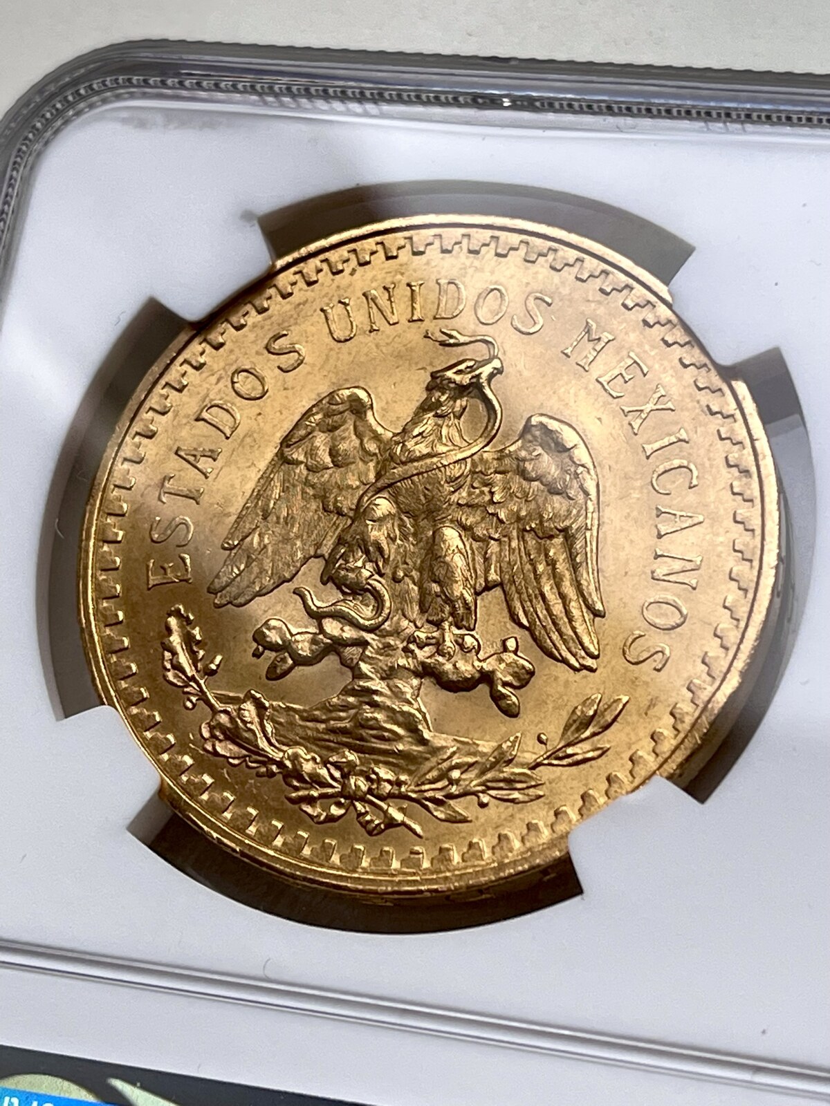 MEXICO G50P Centenario 1943 gold coin 50 pesos NGC MS 64 | MA-Shops