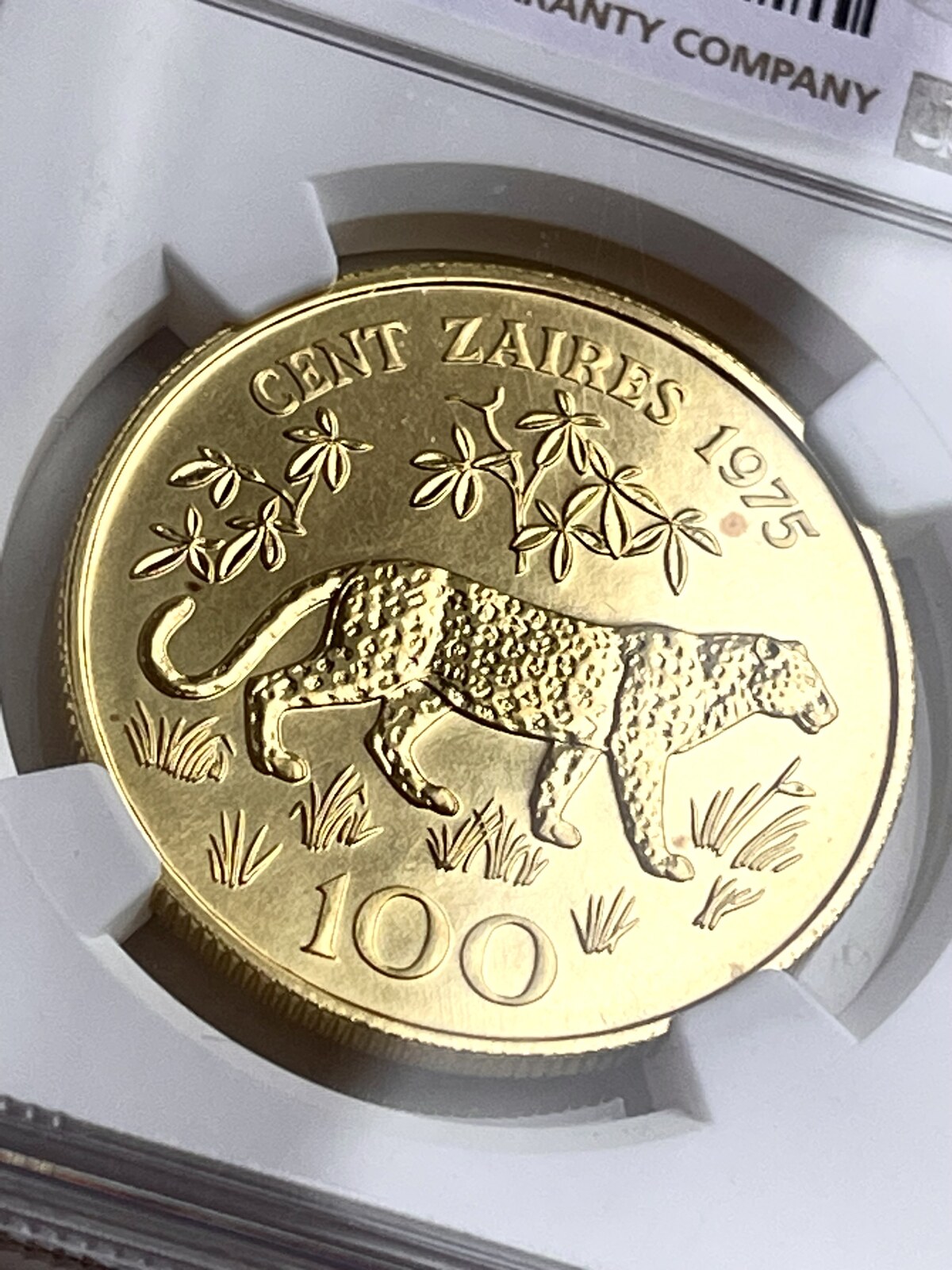 G100Z Zaire 1975 100 Zaires WWF Leopard NGC MS 67 | MA-Shops