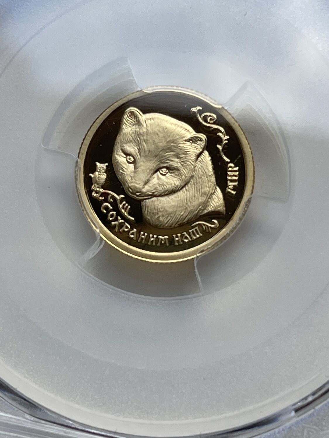 Russia 25 Roubles 1994 ММД 25 ruble gold coin 1994 Sable Proof PCGS ...