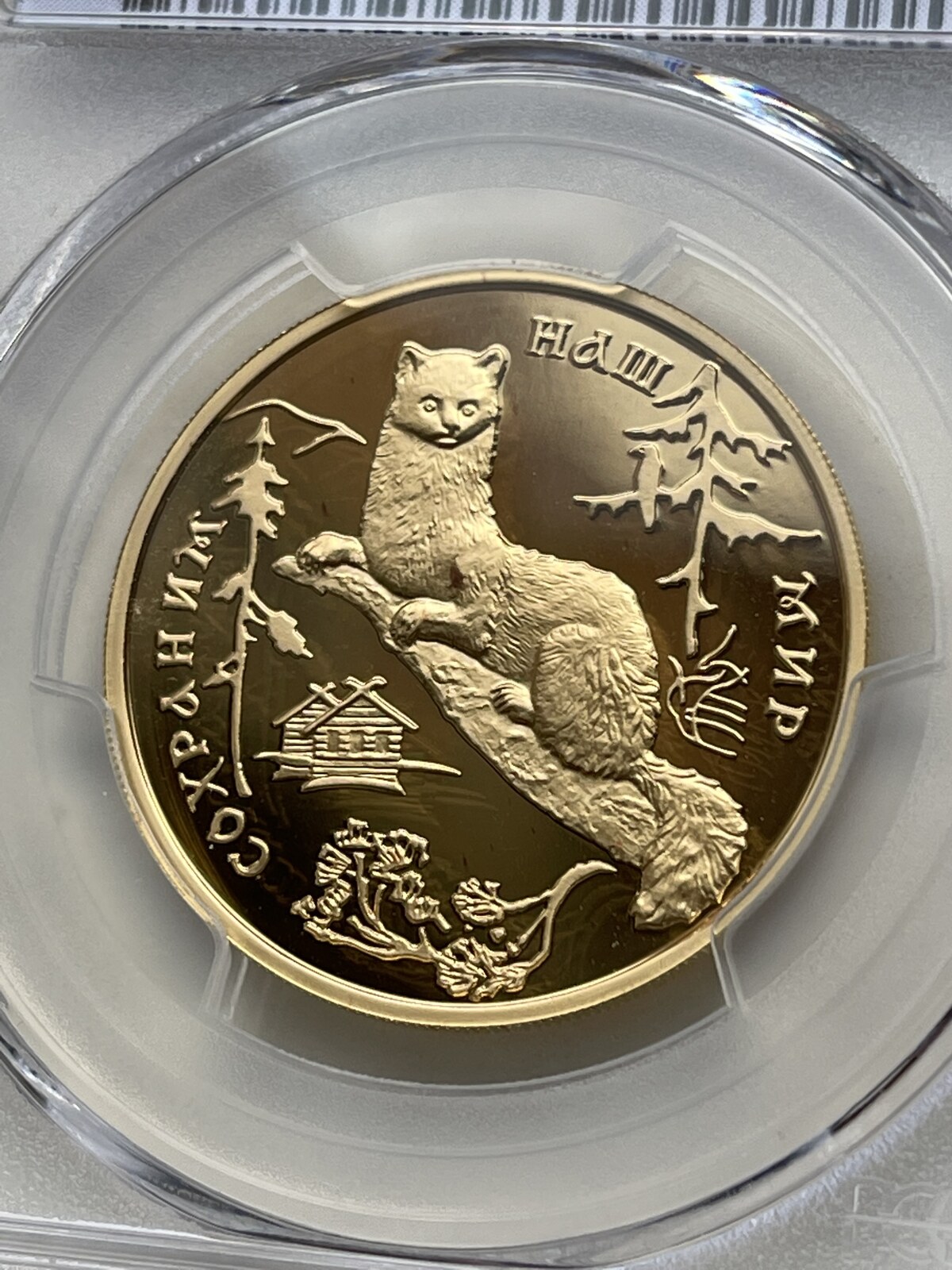 Russia 100 Roubles 1994 ММД 100 ruble gold coin 1994 Sable Proof PCGS ...