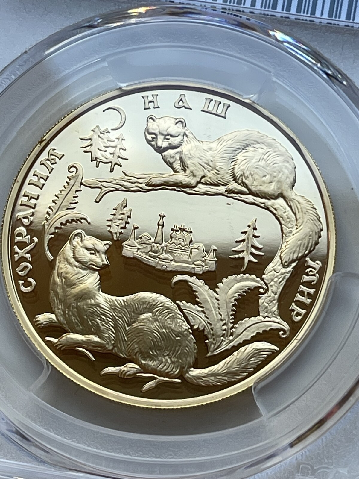 Russia 200 Roubles 1994 ММД 200 ruble gold coin 1994 Sable Proof PCGS ...