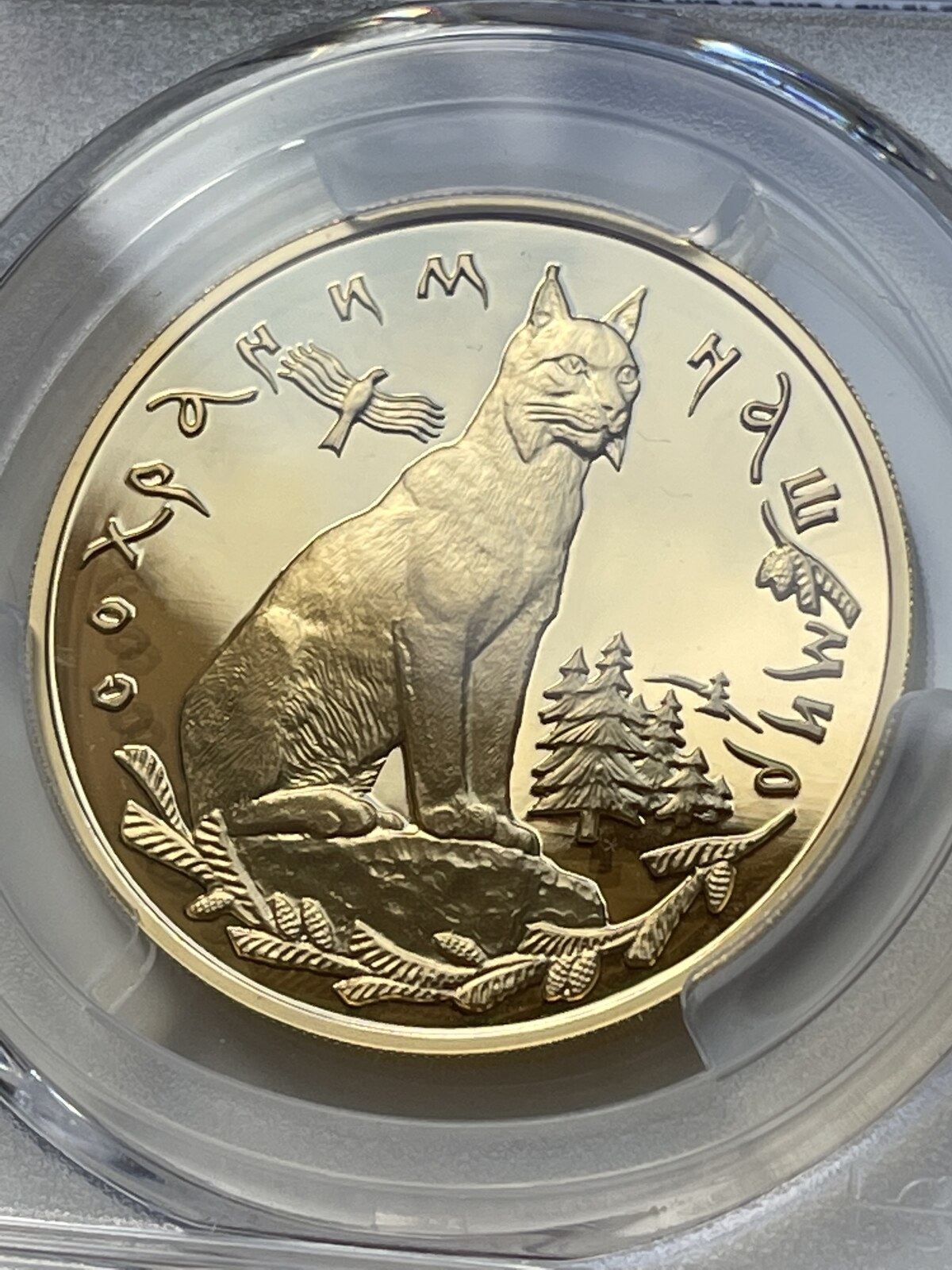 Russia 200 Roubles 1995 ММД 200 ruble gold coin 1995 Lynx Proof PCGS ...
