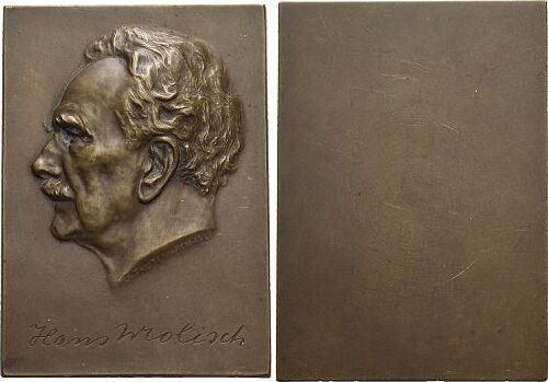 Personenmedaillen Einseitige Bronze-Plakette 1928 Molisch, Dr. Hans ...