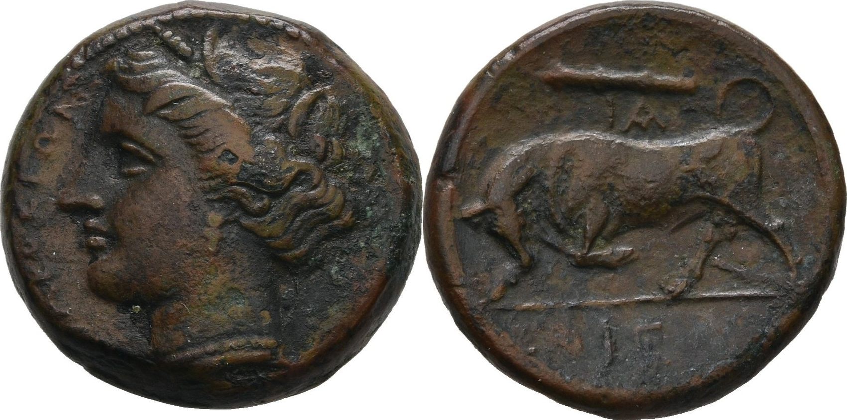 Sizilien Syrakus Bronze Hieron II., 275-215 VF | MA-Shops