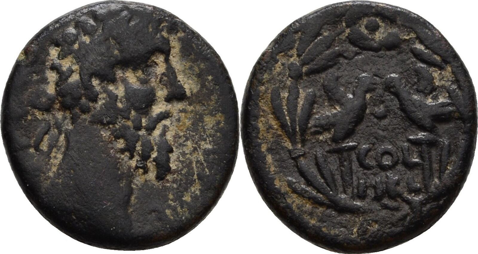 Coele Syria Heliopolis Bronze Septimius Severus, 193-211 VF | MA-Shops