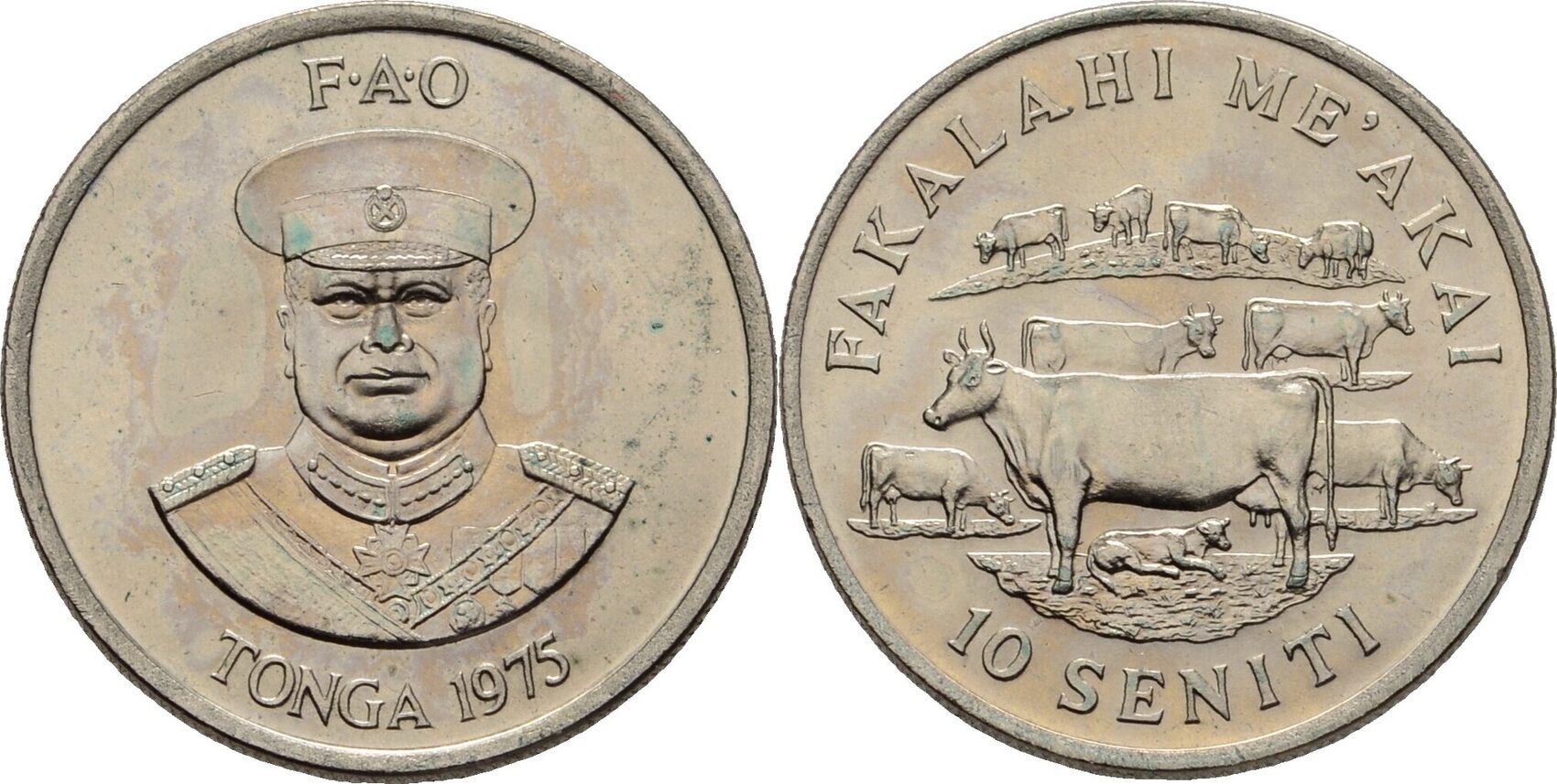Tonga 10 Seniti 1975 FAO EF | MA-Shops