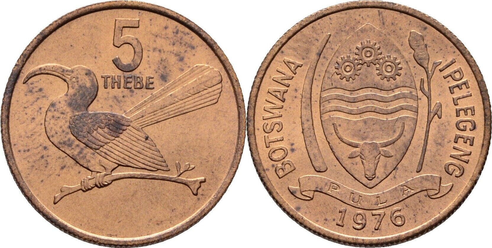 Botswana 5 Thebe 1976 CH UNC | MA-Shops