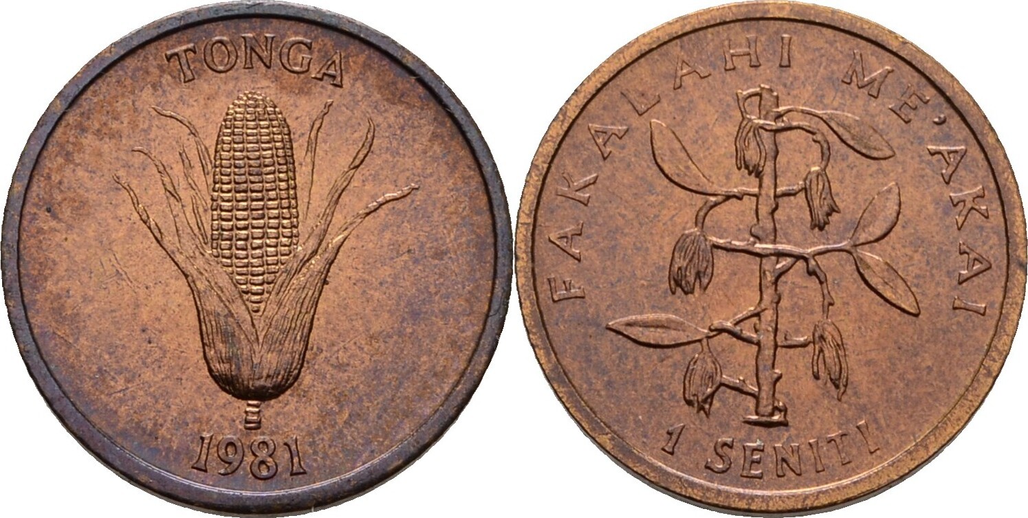Tonga 1 Seniti 1981 CH UNC | MA-Shops