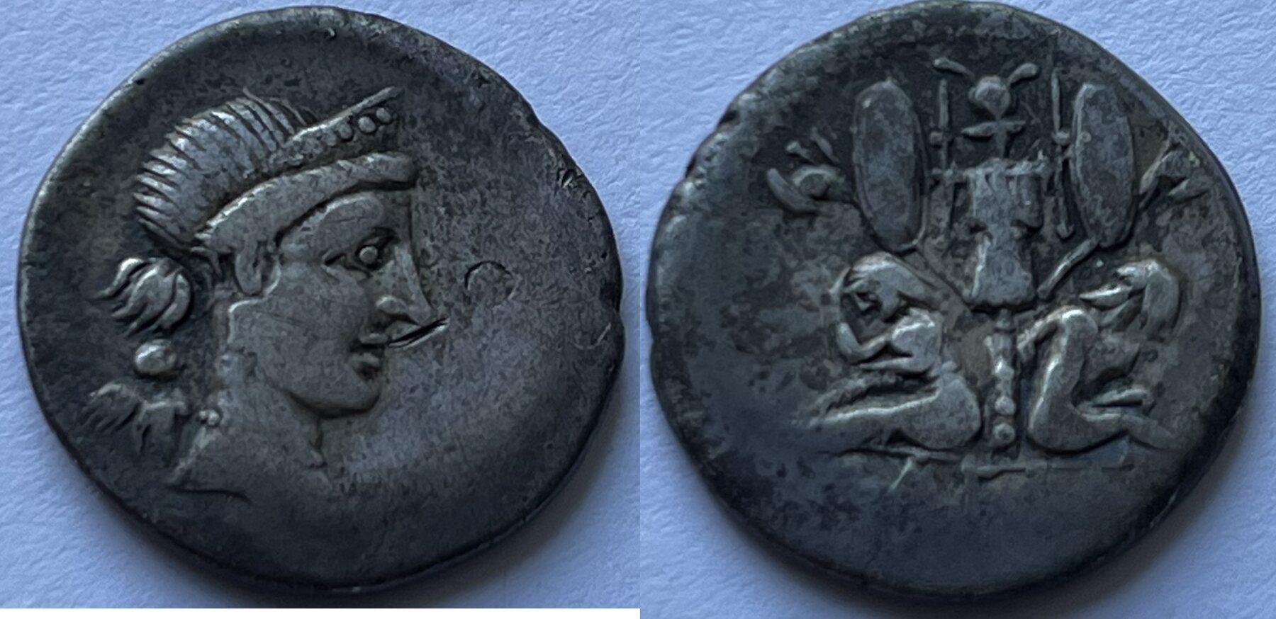 Roman Republic denarius ND (46-45 BC) Julius Caesar (Spain) VF- | MA-Shops