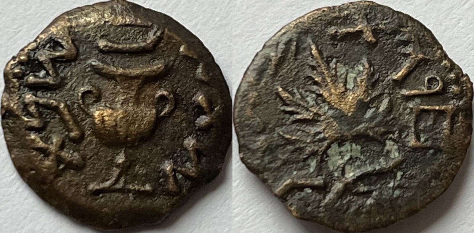 Judea Ae prutah year 2 (67/68) first jewish war (66-70) VF | MA-Shops