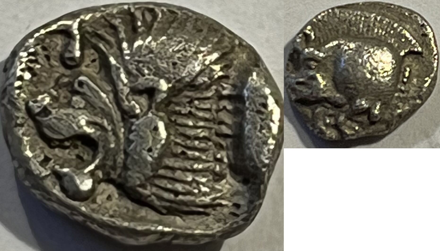 Mysia Cyzicus obol ND (450-400 BC) XF- | MA-Shops