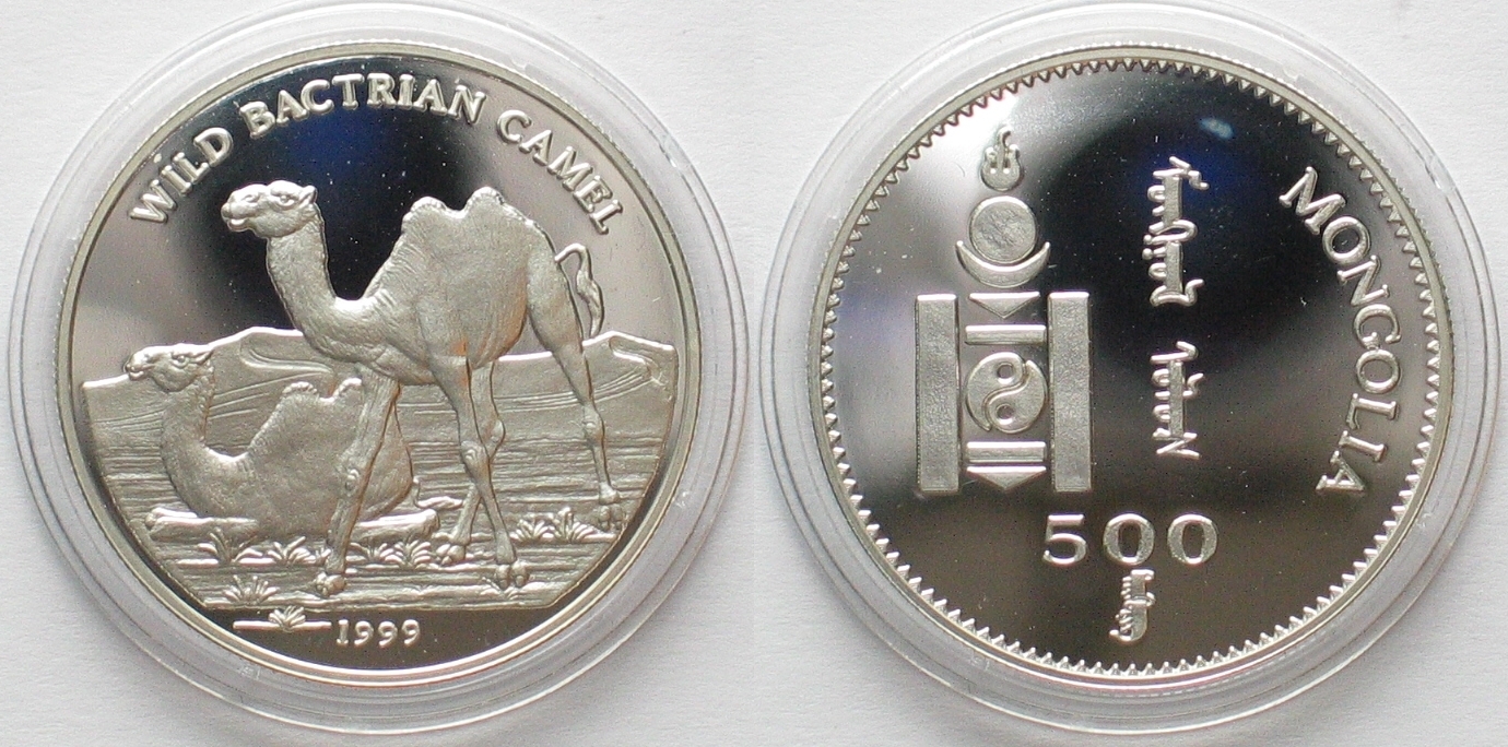 Mongolei MONGOLIA 500 Tugrik 1999 BACTRIAN CAMELS silver Proof SCARCE ...