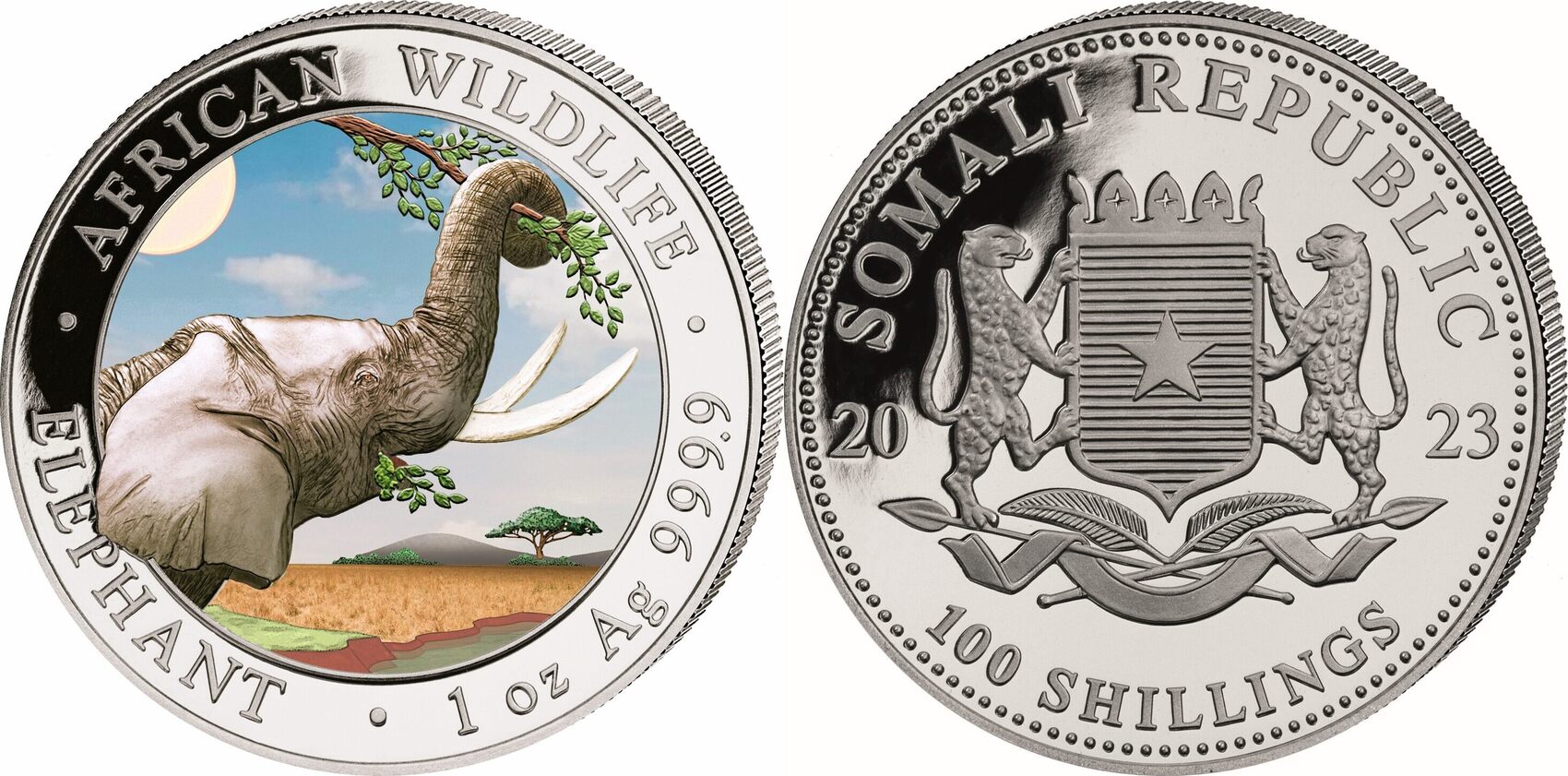 100 Schilling Somalia Wildlife Elephant 2023 Tag Design / Color 1 oz 999 Silver African Wildli ...