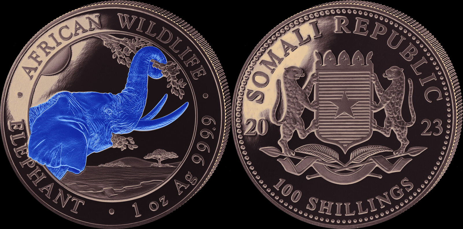 100 Schilling Somalia African Wildlife Somalia Elephant 2023 1 oz 999 silver coin gilded ...