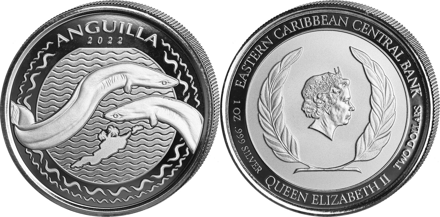 Scottdale Mint Anguilla EC8 - Eel - 2$ 2 Dollar 2022 1 oz Silver Coin ...