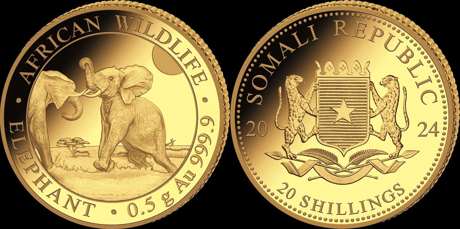 20 Schilling Gold coin 0.5 grams Somalia Elephant 2024 20 shillings 999 ...
