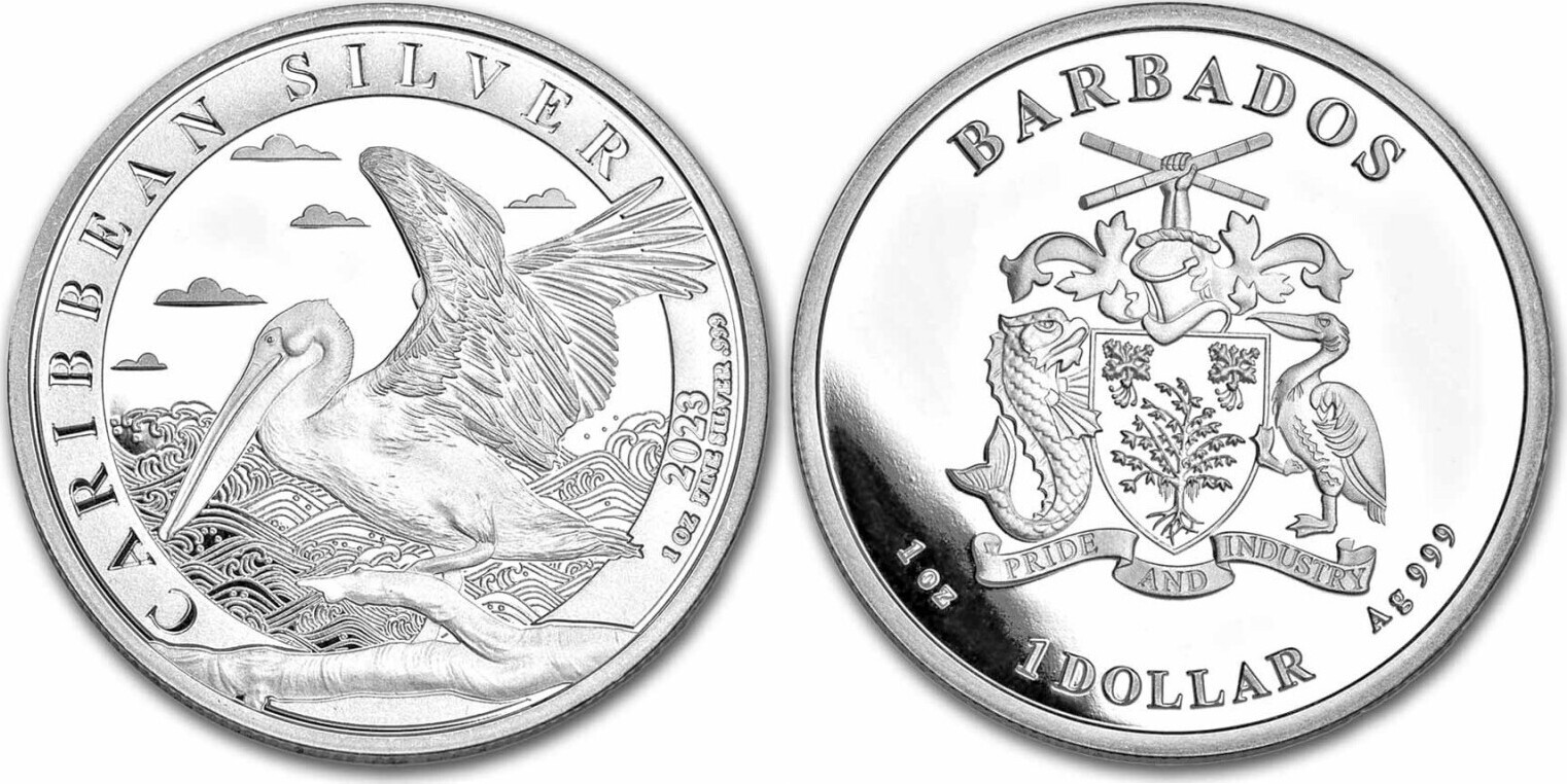 Silver coin Barbados Pelican 2023 1 oz Pelican silver 999 uncirculated ...
