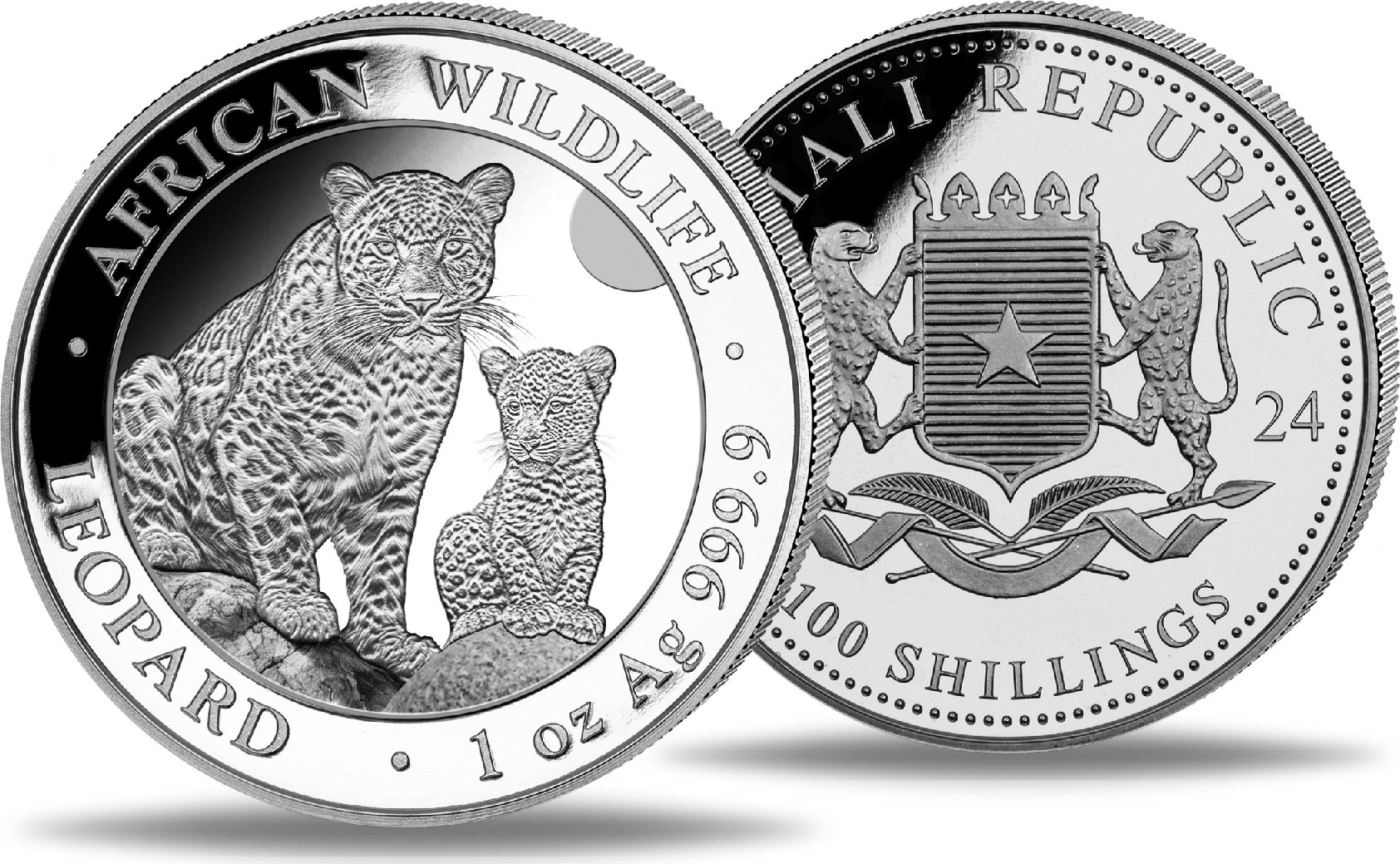 Silver coin Wildlife Leopard 2024 1 Oz African Silver Somalia 100 ...
