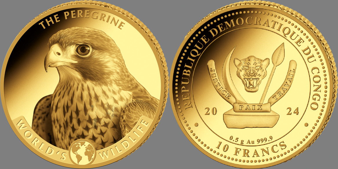 Kongo 10 Francs Gold coin 0.5 grams 2024 - World's Wildlife - Peregrine ...
