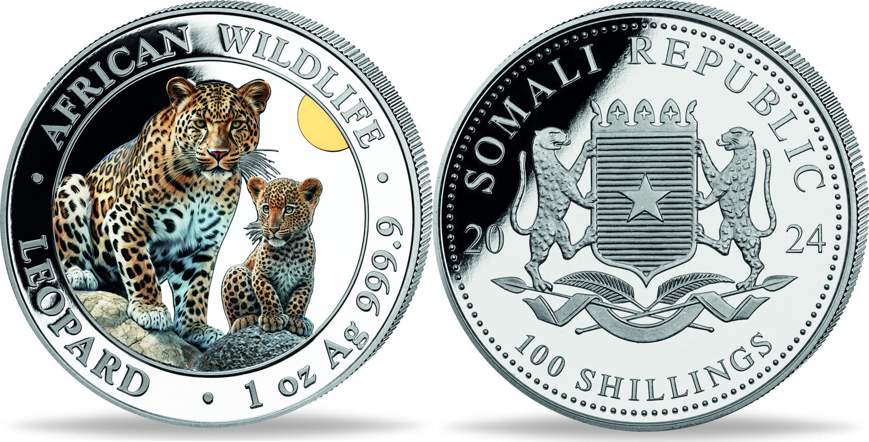 Silbermünze Wildlife Leopard 2024 1 oz African Silber Somalia Farbe 999 ...