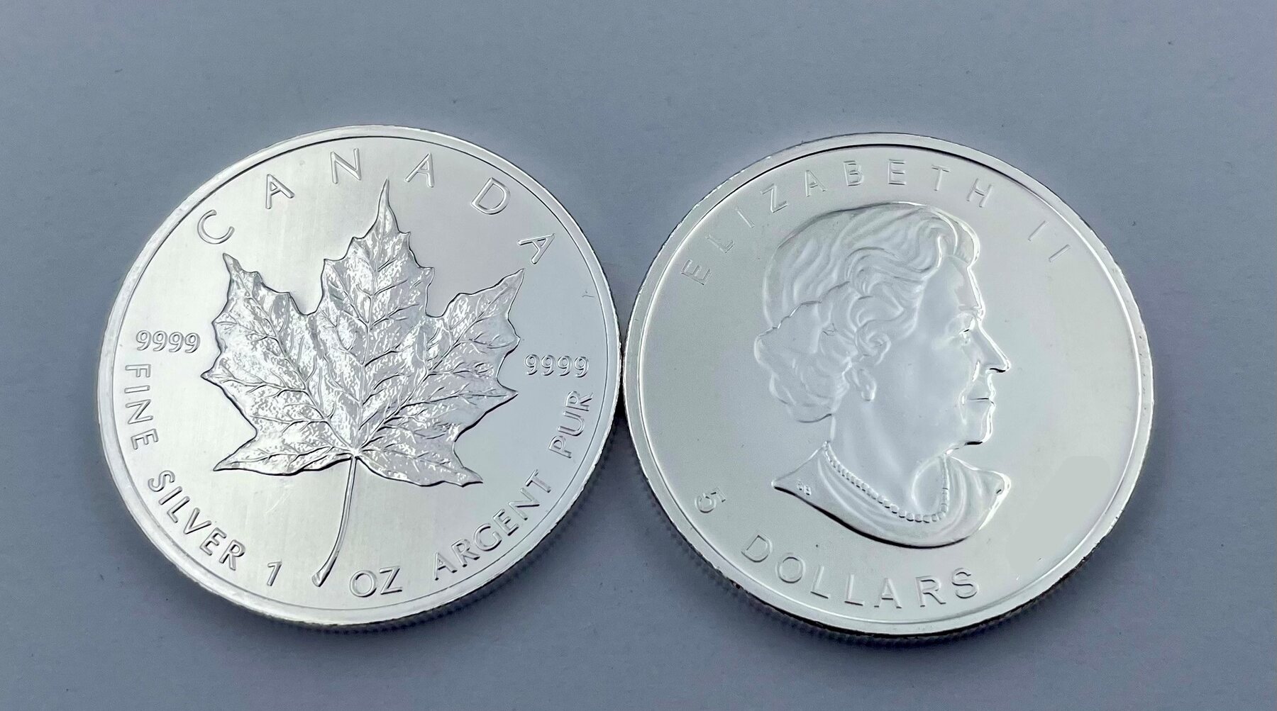 Kanada verschiedene Silver Coin Maple Leaf 1 Tube 25x 1 oz 999 Silver ...