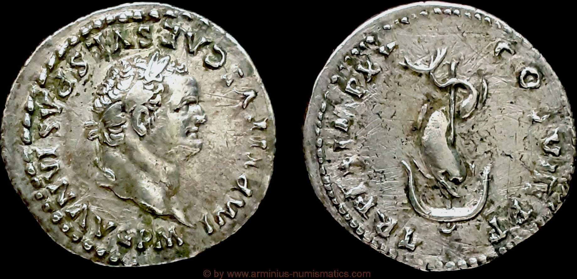 Roman Empire Denar 80 n. Chr. Titus VF | MA-Shops