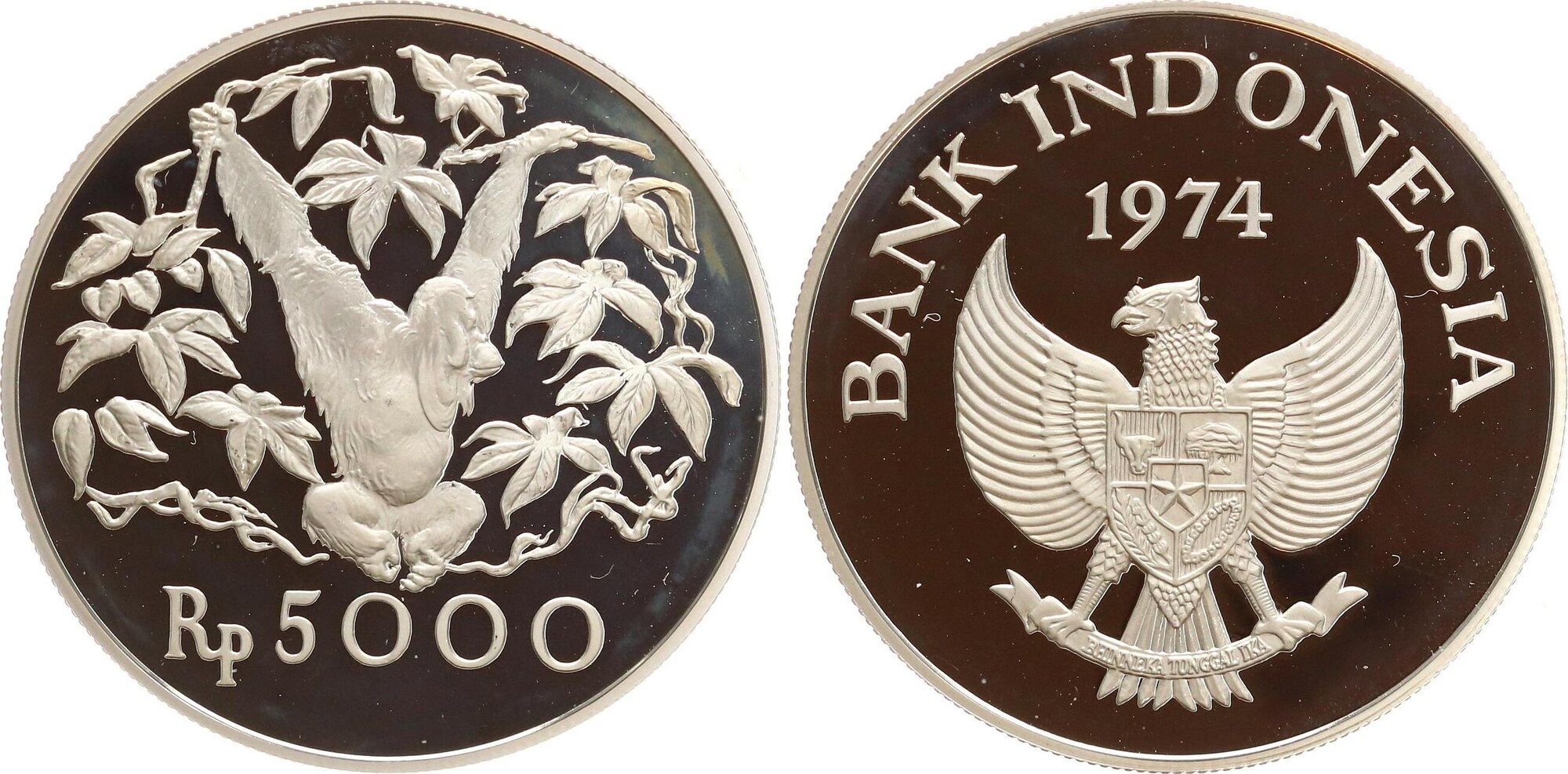 Indonesien 5000 Rupien 1974 Wildlife - Orang Utan Proof | MA-Shops