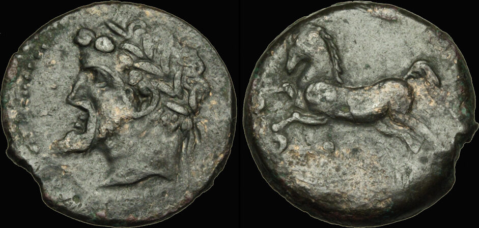 GREEK - NORTH AFRICA Numidia 28 - NUMIDIA, Kings of Micipsa, AE 26 ...