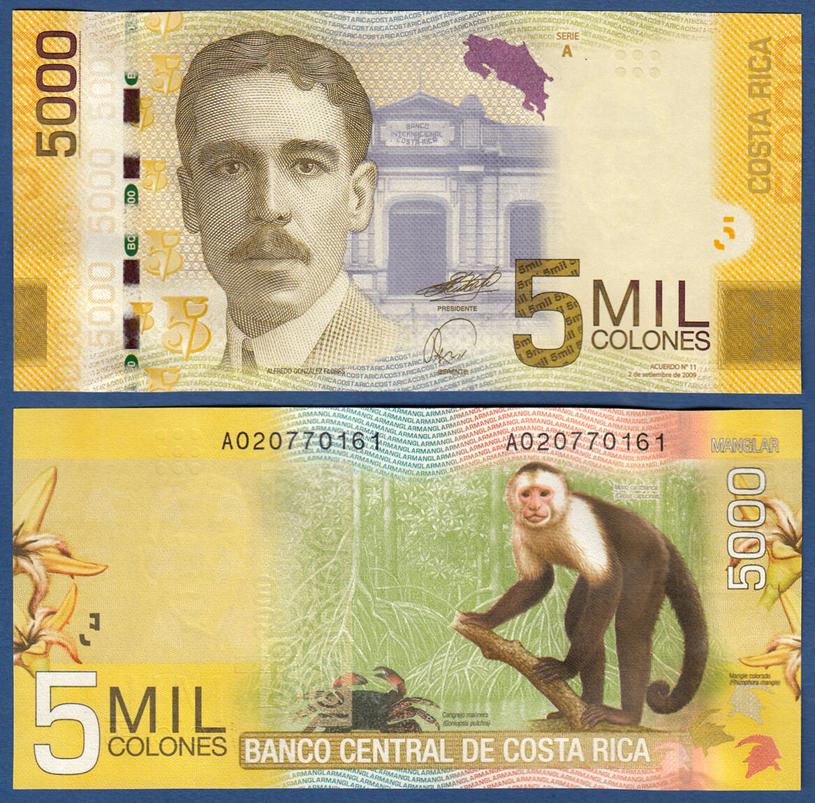 COSTA RICA P.276 5000 Colones 2019 UNC | MA-Shops